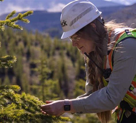 Image result for Small-Scale Machine Mining in BC