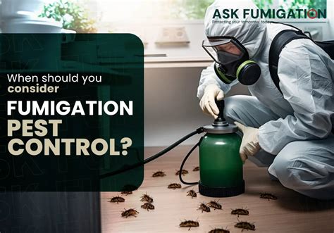 Image result for Pest Control Fumigation