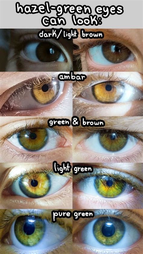 Image result for Eye Color Examples