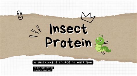 Image result for Insect Based Protein