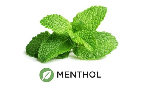 Image result for Menthol Definition
