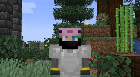 Image result for How to Open Chat PS4 Minecraft