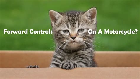 Image result for Forward Controls On Motorcycle