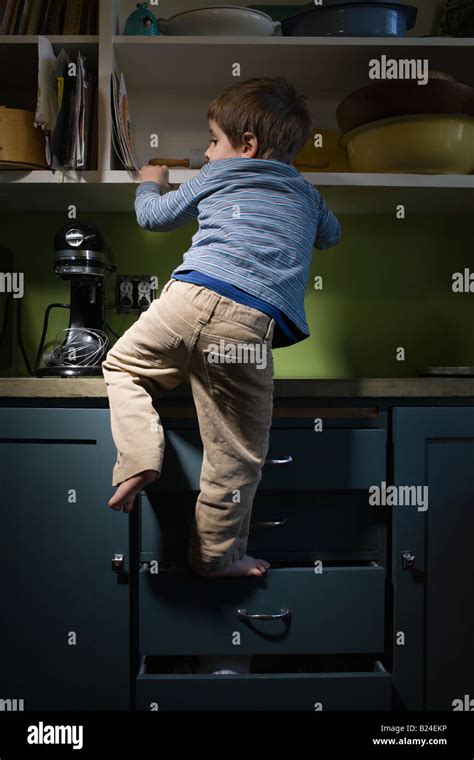 Image result for Python Climbing Kitchen Wall