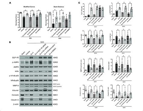 Image result for EX4 Protection