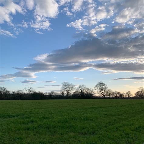 Image result for Dry Spring