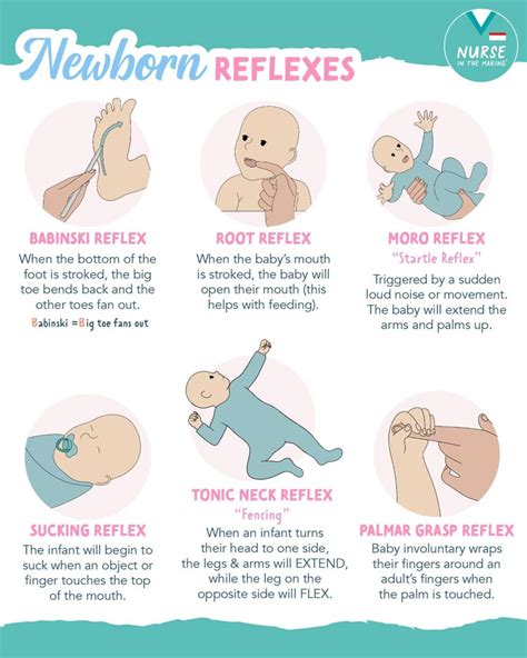 Image result for Infant Reflex Development