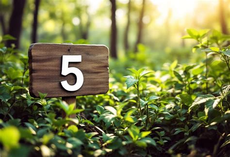 Image result for Life Path Number Is 5