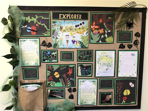 Image result for Display Board Backing