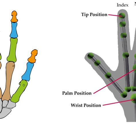Image result for BoneLab Hand Tracking