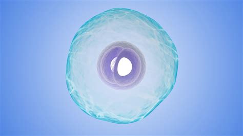 Image result for Protein Microscope