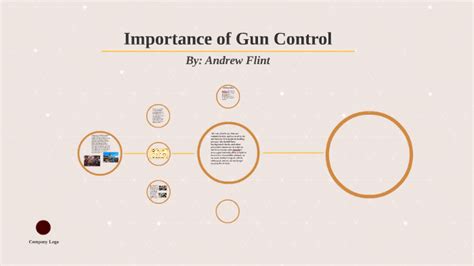 Image result for Gun Control Importance Image