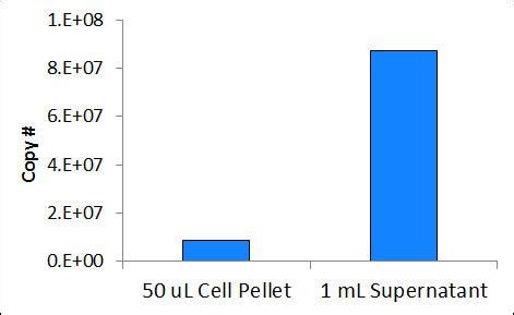 Image result for AAV Vector Purification Kit