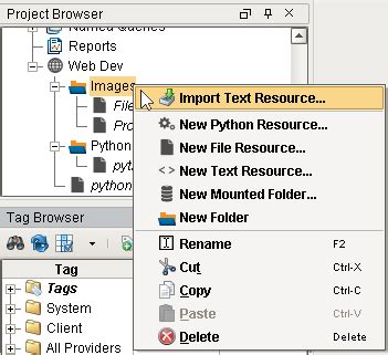 Image result for Ignition Web Dev Module