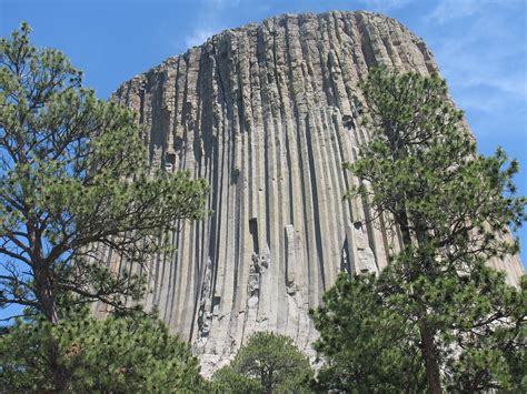Image result for Is Devils Tower a Tree