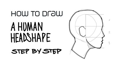 Image result for Head Shape Tutorial