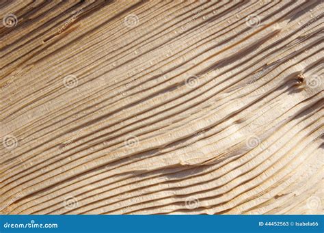 Image result for Split Log Texture