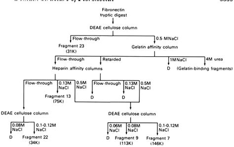 Image result for Fibronectin Domain Structure