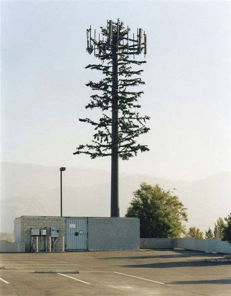 Image result for Fake Tree Cell Tower