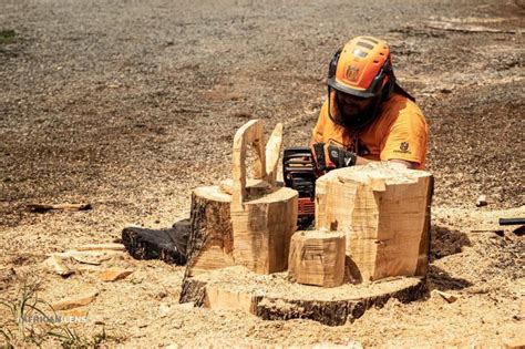 Image result for Chainsaw Carving Tutorial