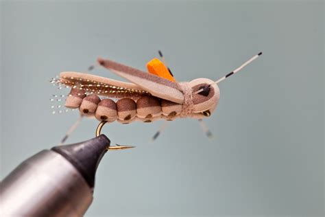 Image result for Fly Tying Hopper Patterns