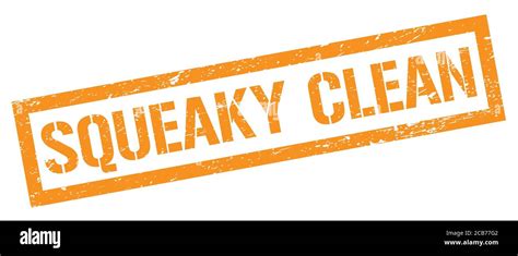 Image result for Squeaky-Clean Word Art