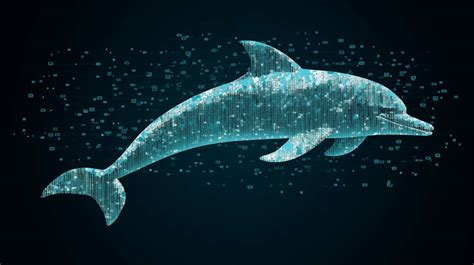 Image result for MySQL Support