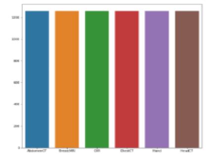Image result for Tissue Classification Neural Network