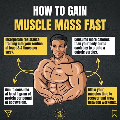 Image result for Adding Muscle Mass