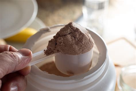 Image result for Making Protien Powder Process