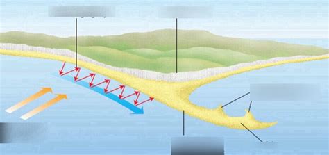 Image result for Formation of Spit Animation