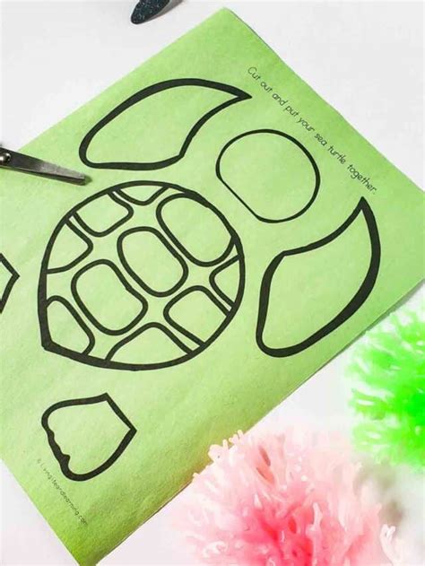 Image result for Sea Turtle PrintOut