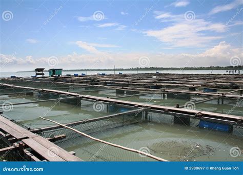Image result for Java Fish Farm