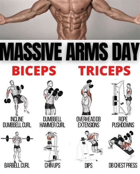 Image result for Inside Arm Exercise