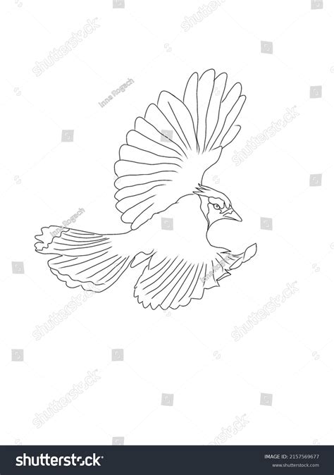 Image result for Mockingjay Bird Drawing