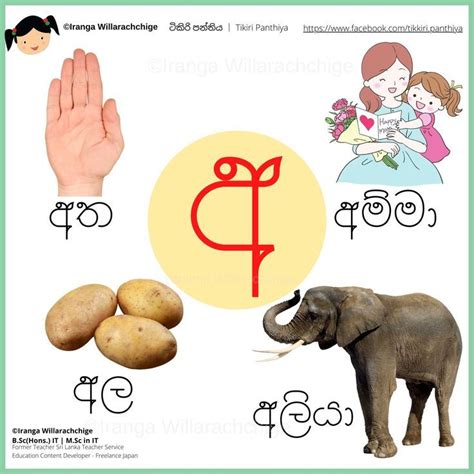 Image result for Tutorial Duplicate Sinhala