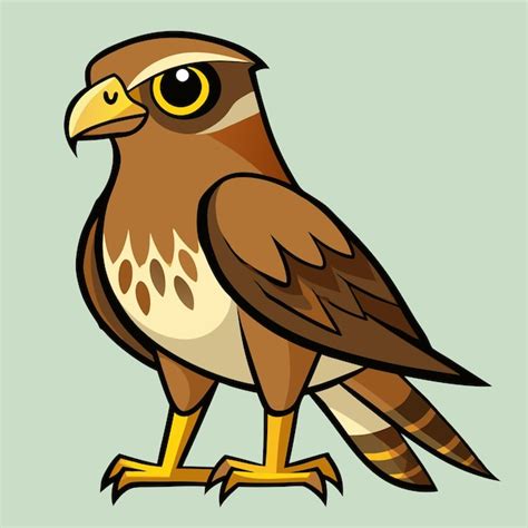 Image result for Hawk Beak Drawing