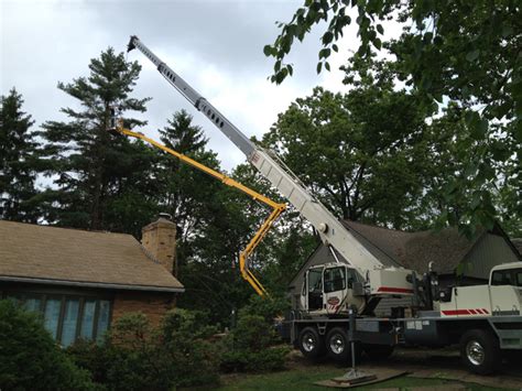 Image result for Engine Lift On a Tree