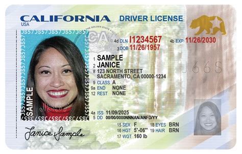 Image result for License Card Code 10