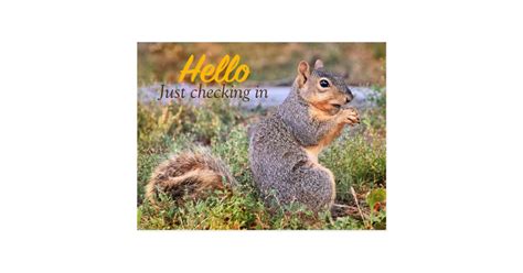 Image result for Hello There Check In