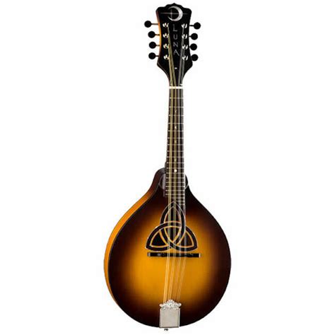 Image result for 6 String Mandolin