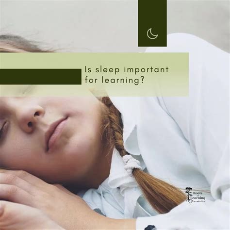 Image result for Sleep Learning