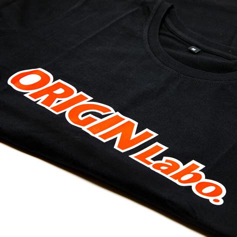 Image result for Origin Labo Logo