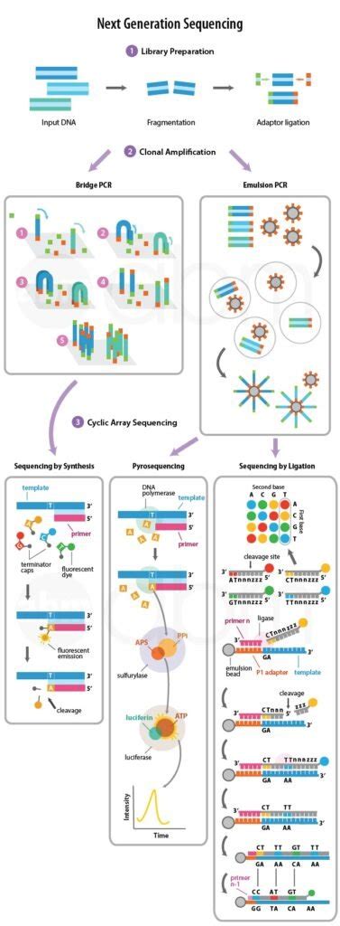 Image result for Next-Generation Sequencing Tutorial