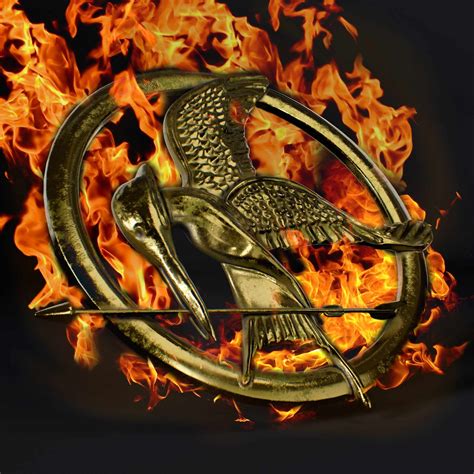 Image result for Mockingjay Pin PNG