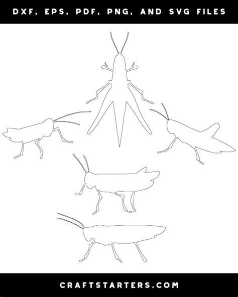 Image result for Grasshopper Rectangular Pattern