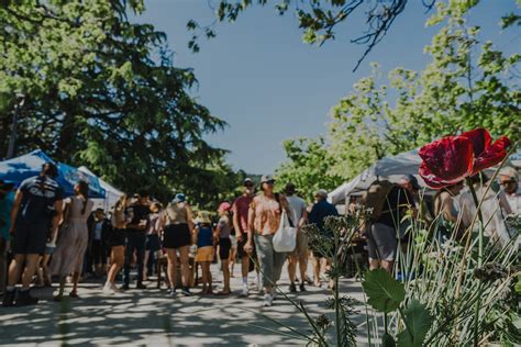 Image result for Salt Spring Island Fish Market