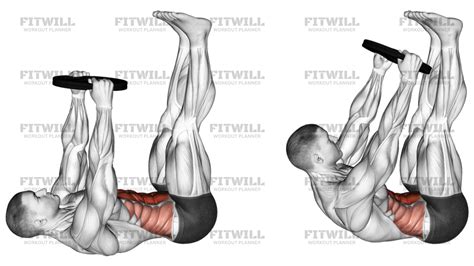 Image result for Toe Touch Crunch Exercise