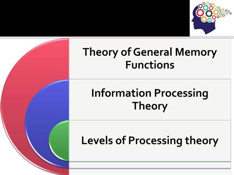 Unit 3 Cognitive process / Memory | PDF