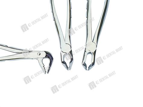 Image result for Tooth Extraction Forcep PHY